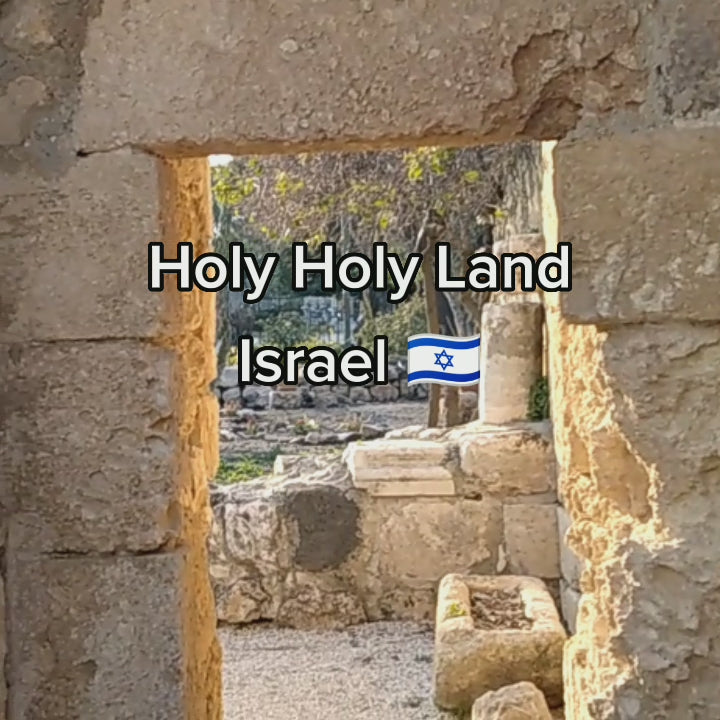 Holive extra virgin olive oil from Israel – HoliveOil